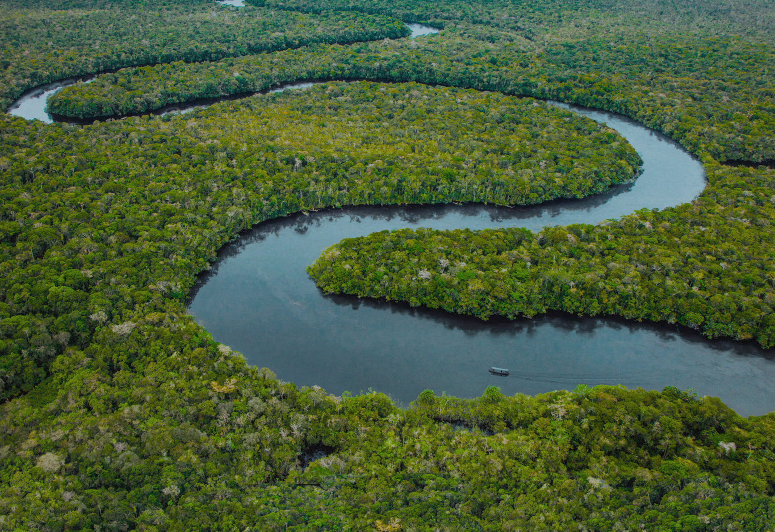 Das tiefste Blau - Alamode Film